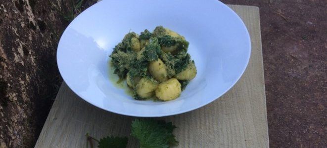 Gnocci with Wilted Nettles and Nettle & Wild Garlic Pesto - Stir it up ...